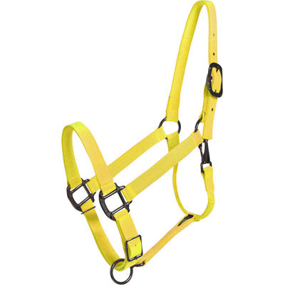Yellow - Pony Size Halter – LuckyPony
